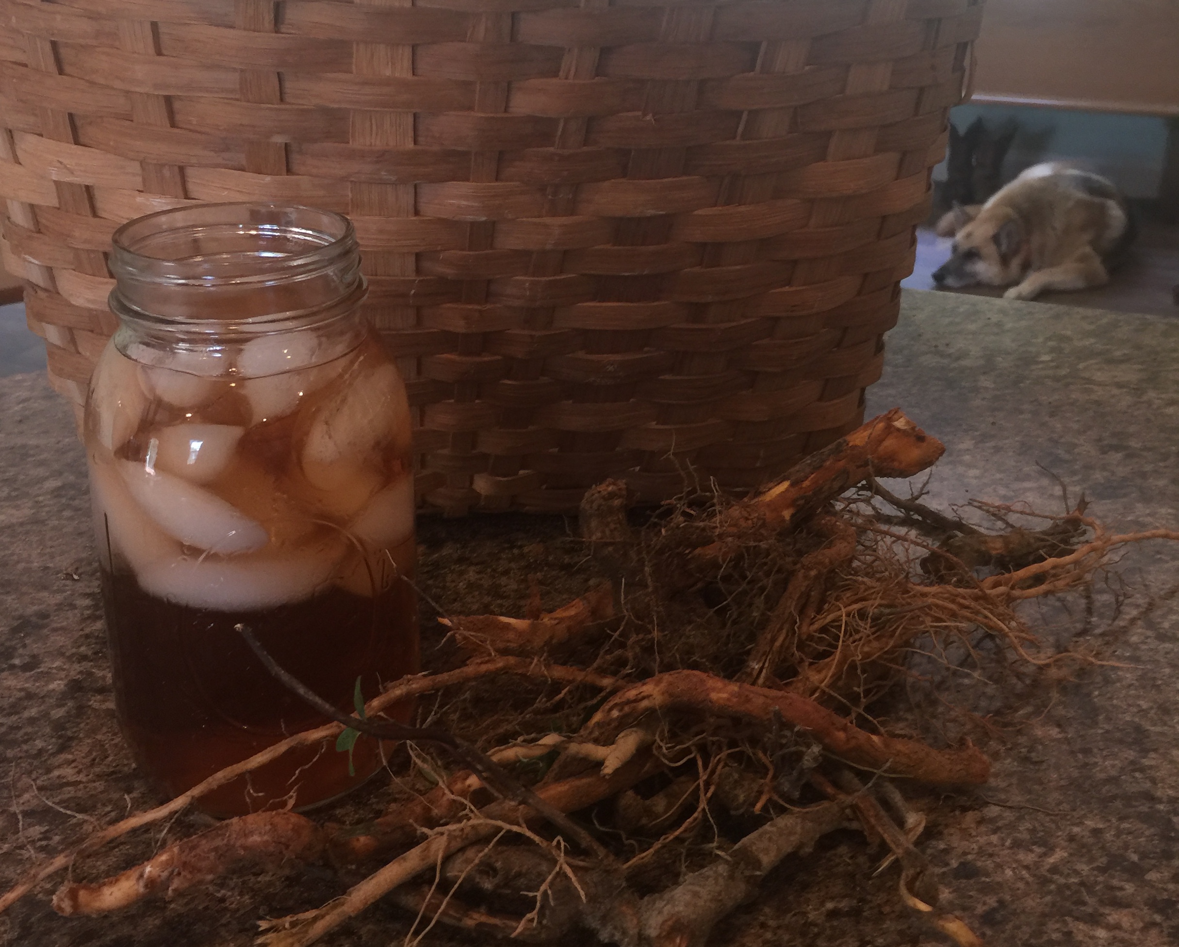 Sassafras Tea Recipe – Cumberland Falls Farm