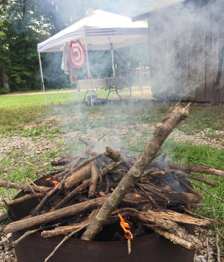 7 Unusual Ways to Combat Summer Gnats That Actually Work a Little ...